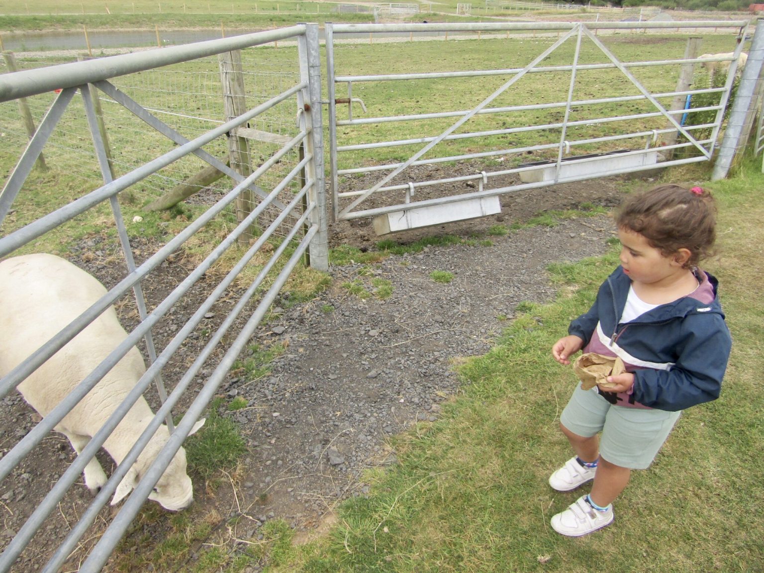 Foel Farm Park | Anglesey Attractions