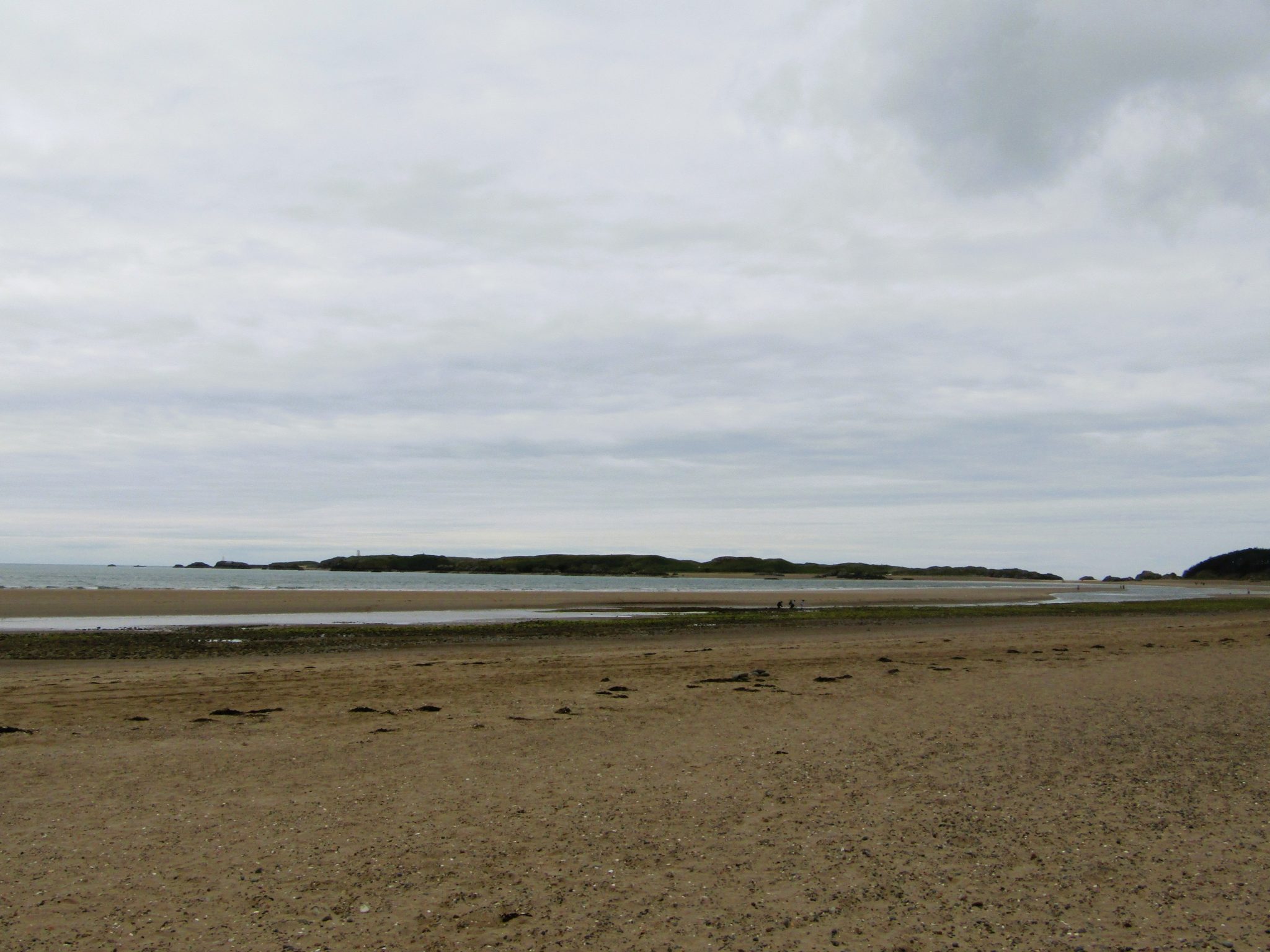 Everything You Should Know - Walking The Anglesey Coastal Path